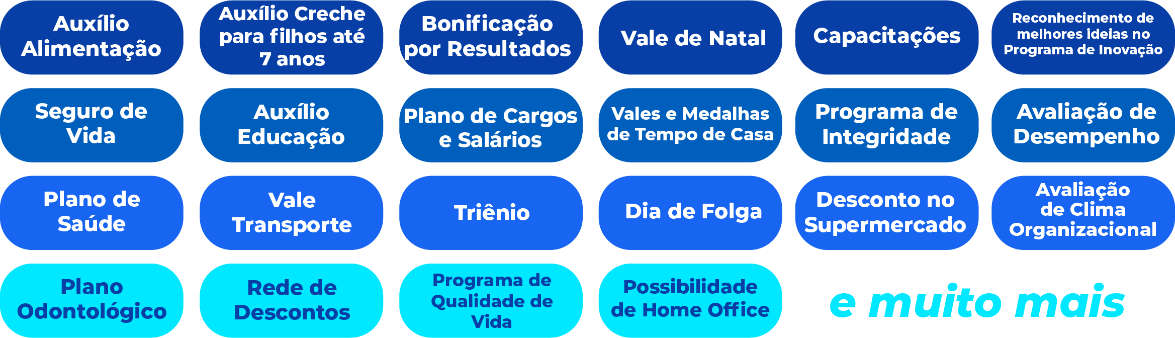 Ser Funarbe – Funarbe